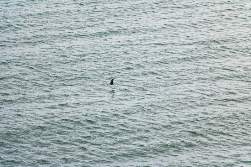 Canadian Newfoundland Sea Water View Stock Image - Image of scenery ...