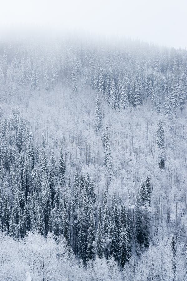 160 South Facing Slope Stock Photos - Free & Royalty-Free Stock Photos ...