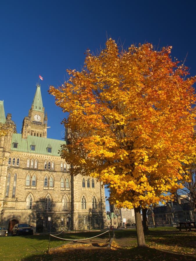 Canadian parliament stock photo. Image of historic, flag - 16100554