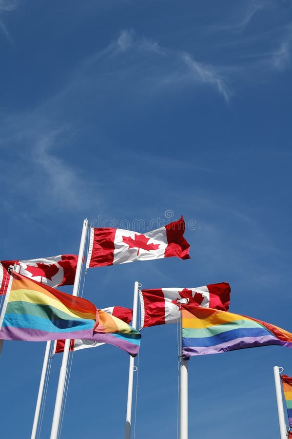 Canadian Pride Flags Picture. Image: 2449356