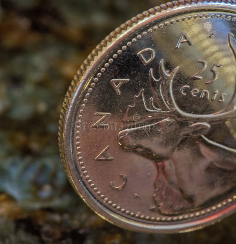 Canadian Quarter editorial image. Image of exactitude - 51549520