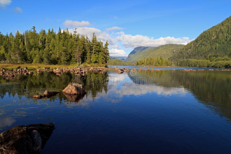 Canadian river Ladscape stock photo. Image of island - 68500562