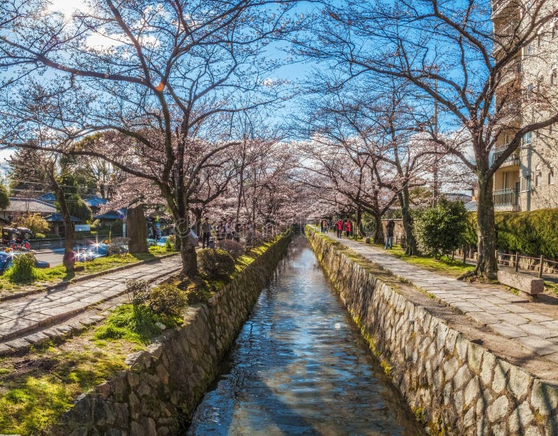 Canal and Cherry Blossum Along the Philosopher S Walk, Kyoto, Japan ...