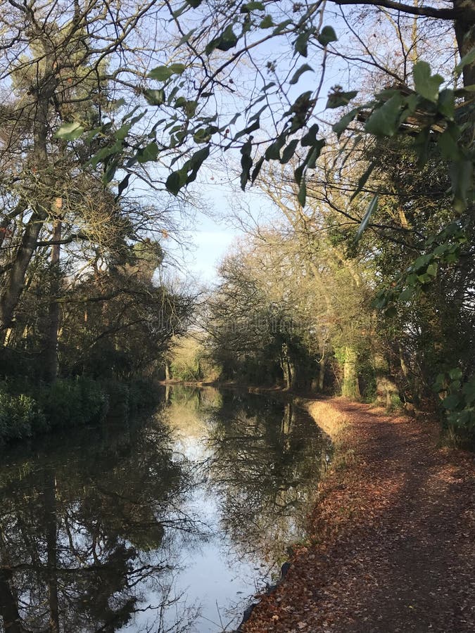 Canal and Canal Path with Tree Reflection in Autumn Stock Image - Image ...