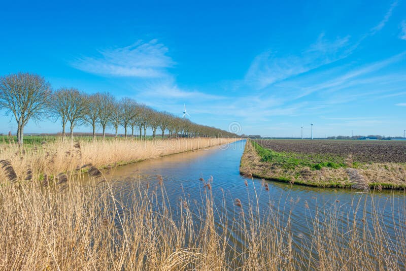 Canal through the Countryside in Spring Stock Image - Image of reed ...