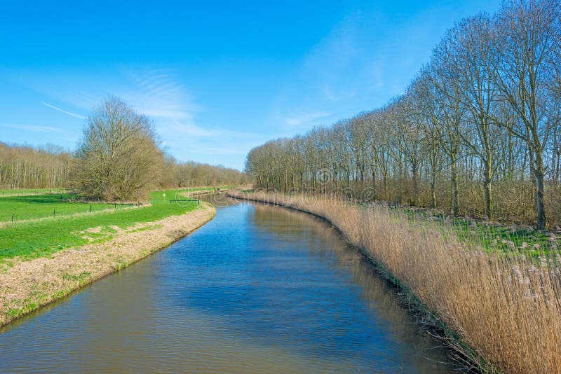 Canal through the Countryside in Spring Stock Photo - Image of ...