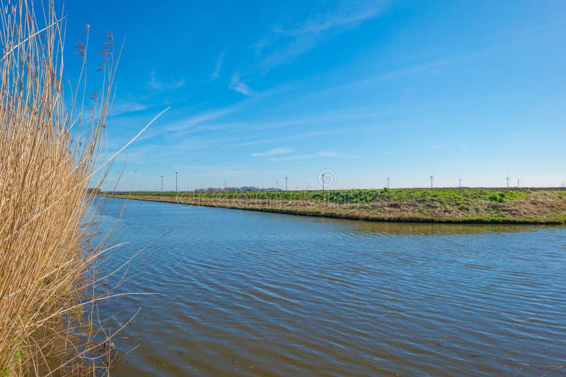 Canal through the Countryside in Spring Stock Image - Image of tranquil ...