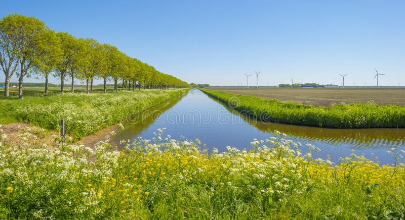 Canal in the Countryside in Sunlight in Spring Stock Photo - Image of ...