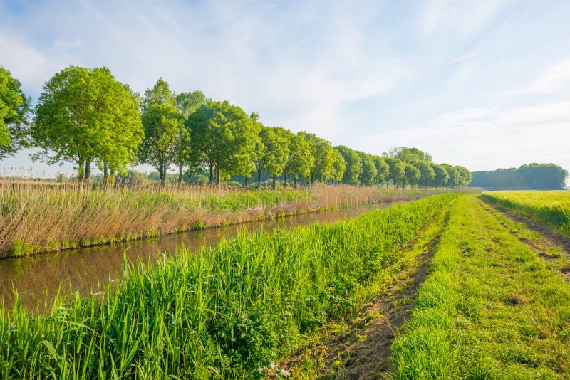 Canal through the Countryside in Spring Stock Image - Image of clouds ...