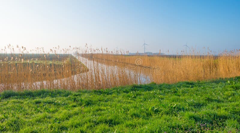 Canal through the Countryside in Spring Stock Photo - Image of ...