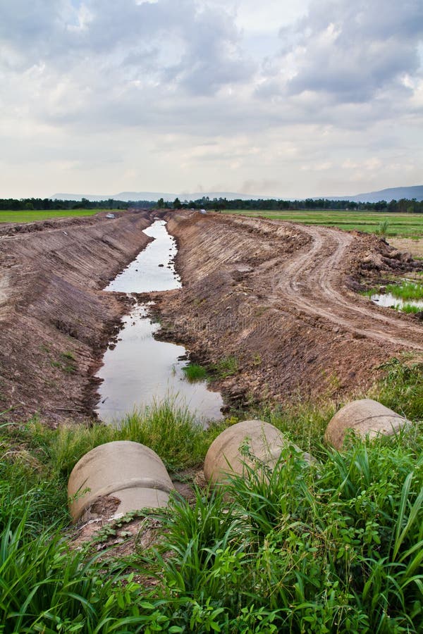 Drain D'irrigation à Une Rizière Un Jour Ensoleillé Photo stock - Image ...