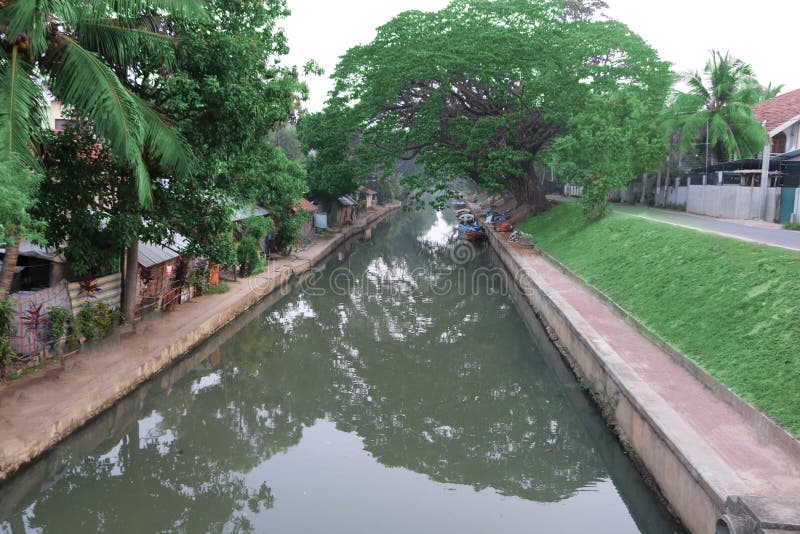 Hamilton Canal Of Sri Lanka Stock Photo - Image of shadows, falls ...