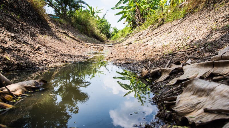 Canal with Low Water Level because of the Drought Stock Image - Image ...