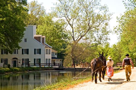 Canal mule team stock image. Image of mule, dragging, drag - 2370245