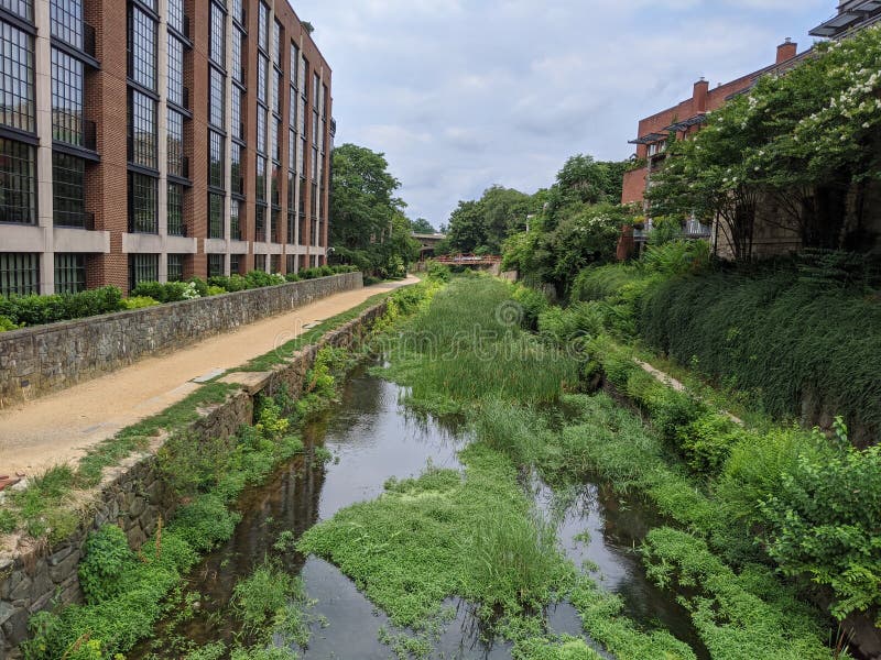 Canal with Plants Growing in it Stock Image - Image of town, walkway ...