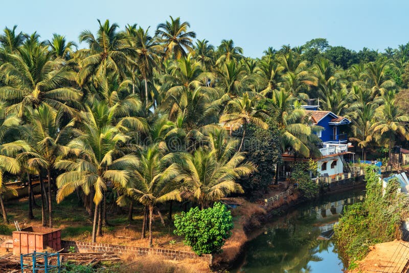 Canal River Near Home in Goa Indian State Stock Photo - Image of flores ...