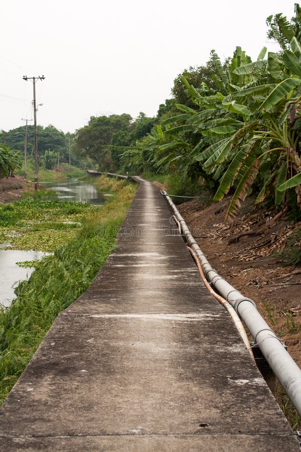 The Canal Road stock photo. Image of trees, road, view - 39828938