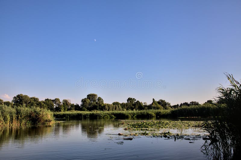 Canal in a Swamp in the Italian Countryside at Sunset Stock Photo ...