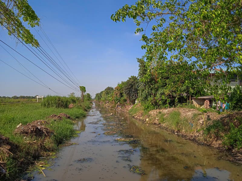 Canal and tree in slum stock image. Image of home, outdoors - 244551755