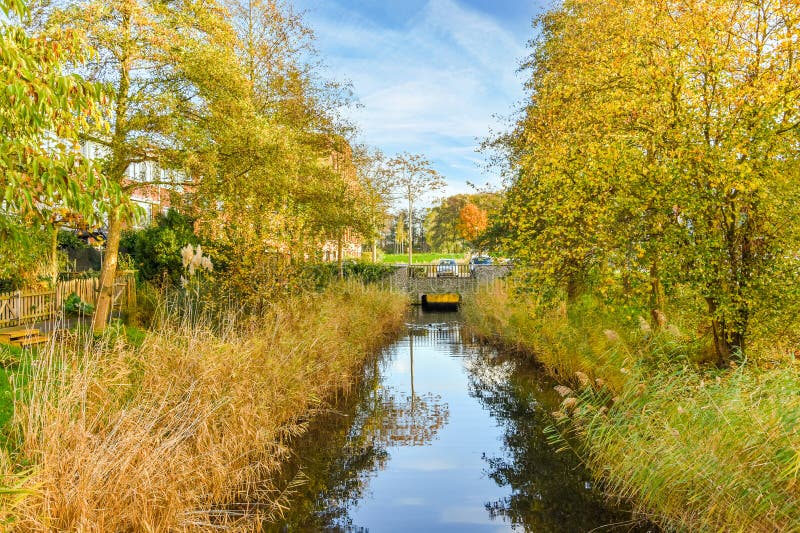 A Canal with Trees on Either Side and a Bridge Editorial Photography ...