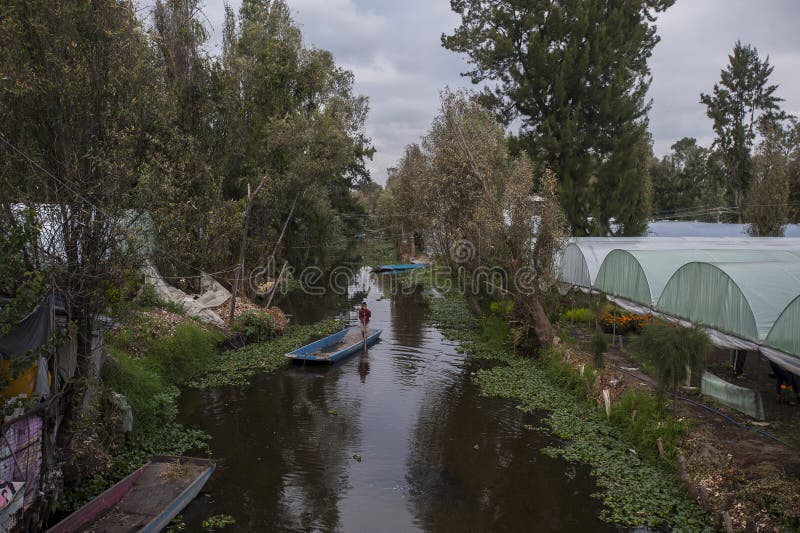 Canales de Xochimilco imagen de archivo. Imagen de ecología - 6480943