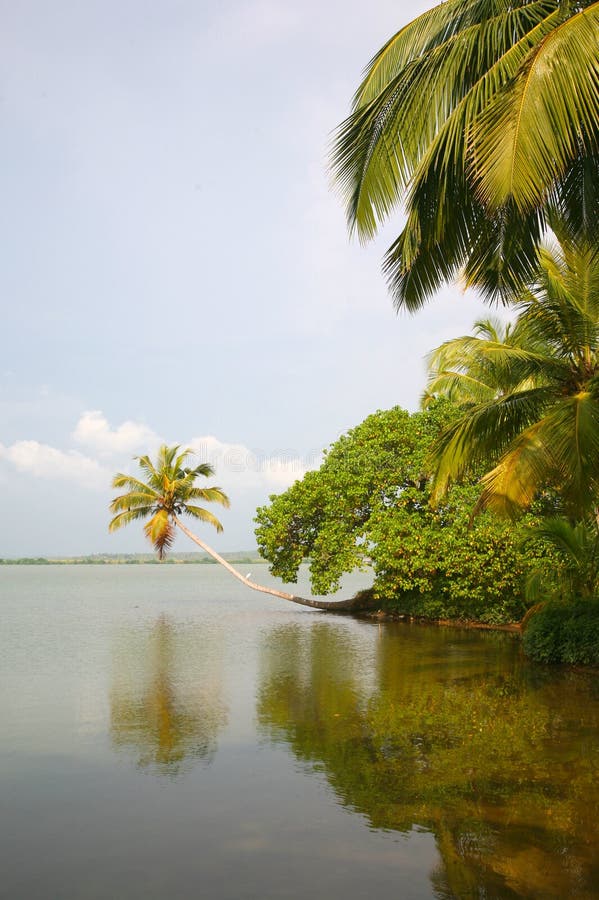 Canals in the Back Waters in Kerala Stock Photo - Image of blue ...