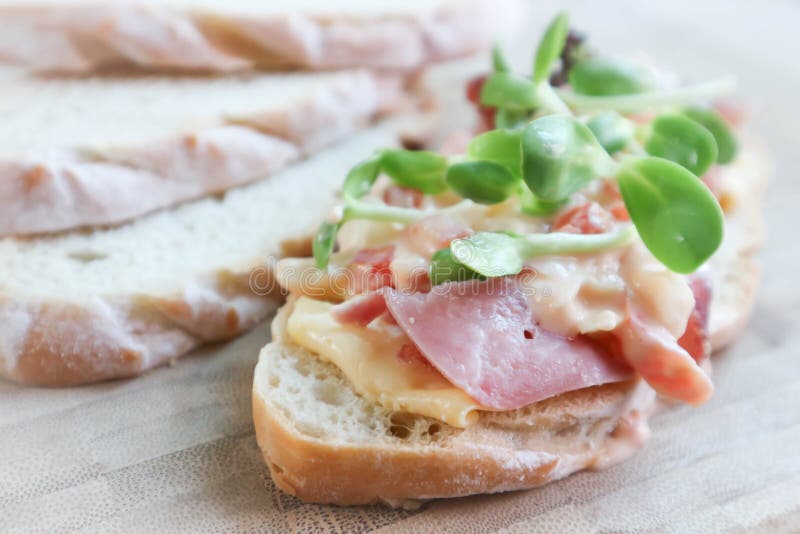 Canape or Bread with Ham and Cheese Stock Image - Image of cheese ...