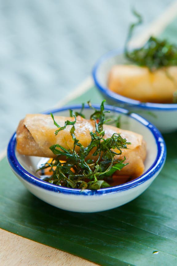 Canape with Fried Spring Rolls Stock Photo - Image of plate, vermicelli ...