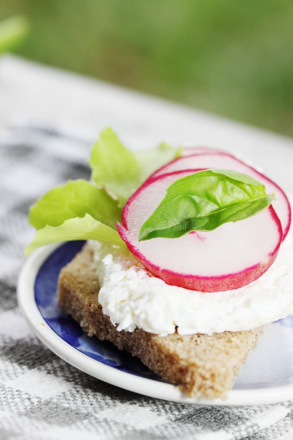 Canape with radish stock photo. Image of chive, leaf - 56925724