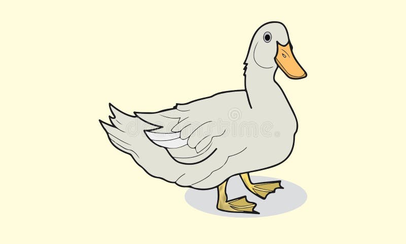 Illustrateur D'animal De Canard Illustration de Vecteur - Illustration ...
