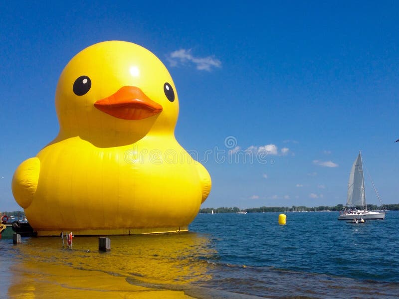 Canard jaune photo stock éditorial. Image du toronto - 95417528