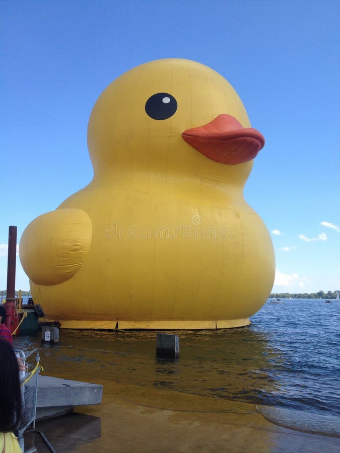 Canard jaune photo stock éditorial. Image du toronto - 95417528