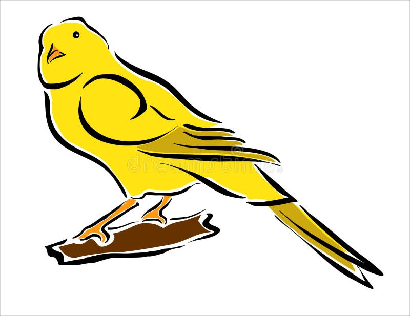 Canari de Wellow illustration de vecteur. Illustration du vivre - 30647958