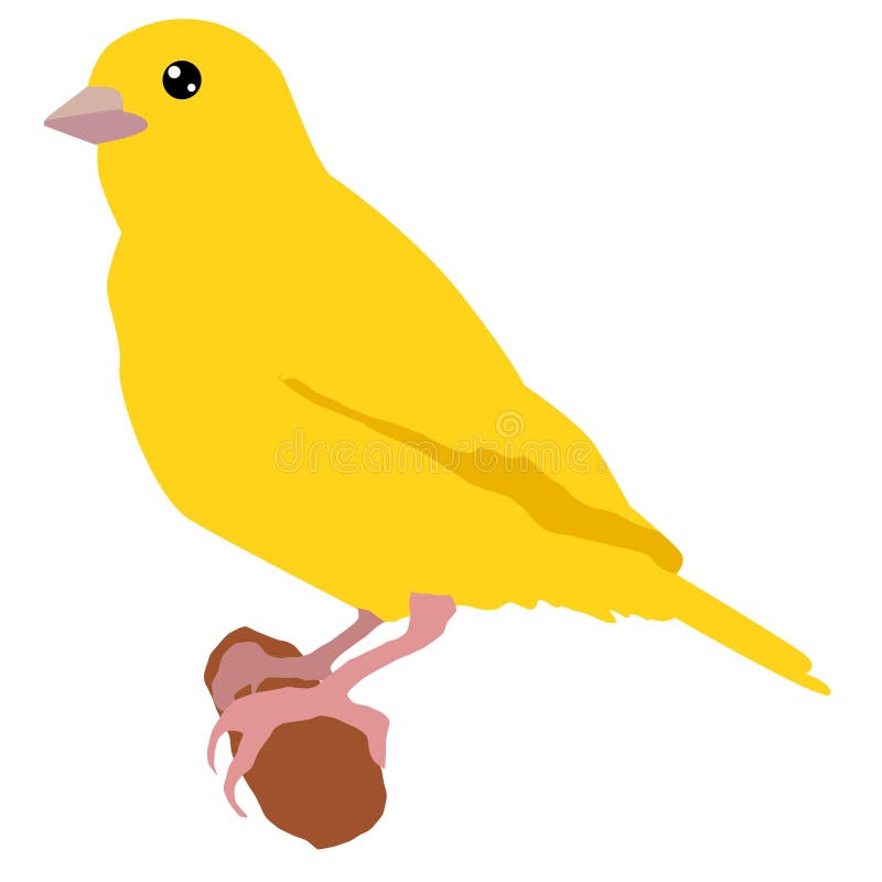 Canarino illustrazione vettoriale. Illustrazione di sfondo - 12669656