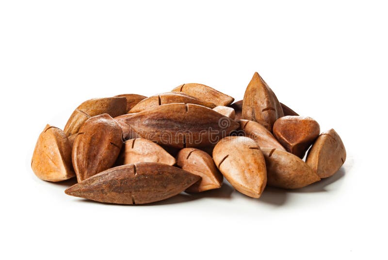 Canarium Ovatum, Commonly Known As Pili is a Species of Tropical Stock ...