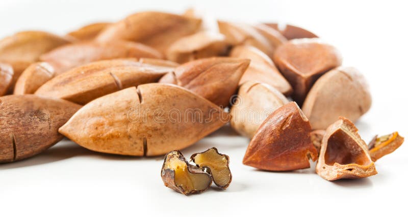 Canarium Ovatum Known As Pili Nuts from the Philippines Stock Image ...