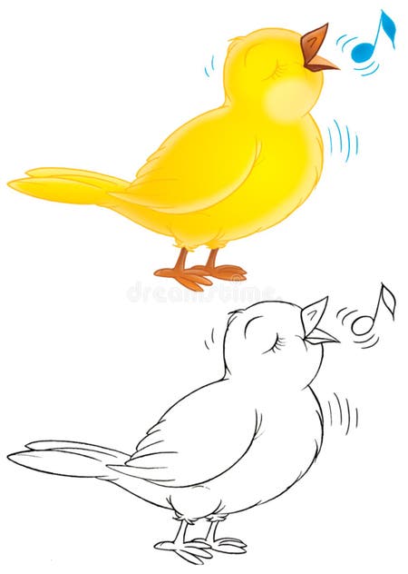 Canary stock illustration. Illustration of drawing, clip - 16076720