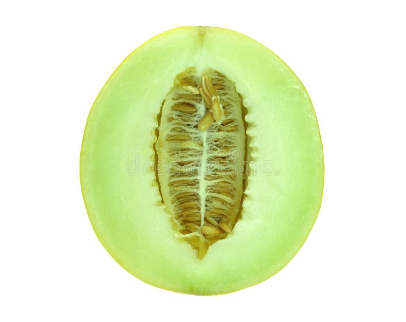 Canary melon stock photo. Image of fruit, vegetarian, vitamins - 7987162