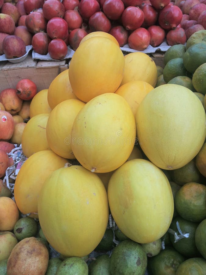 Canary melon stock photo. Image of fruits, melons, canary - 62542774