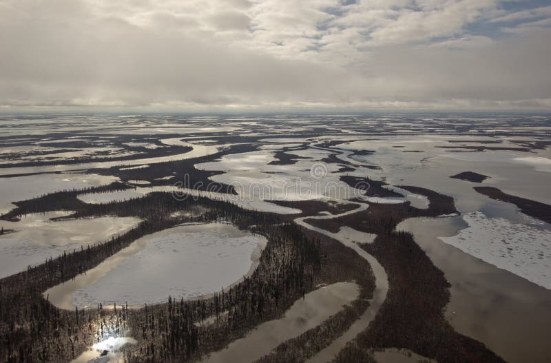 Bateaux Horizontaux De Fleuve De Mackenzie Photo stock - Image du arbre ...