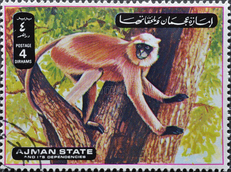 Cancelled Postage Stamp Printed by Ajman State, that Shows Monkey ...