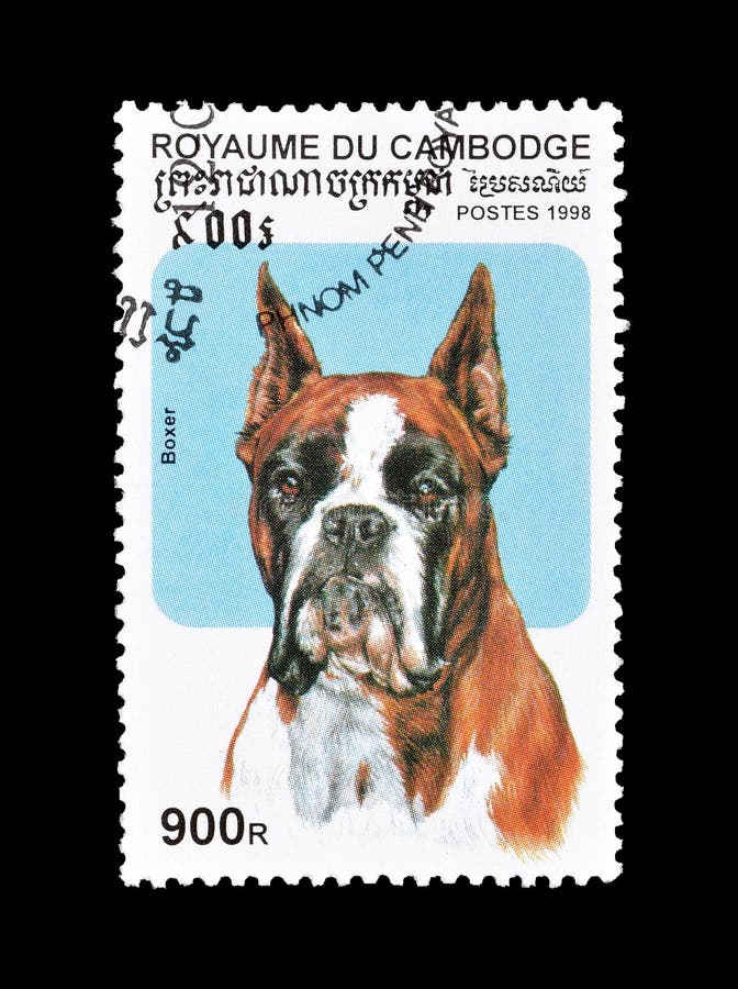 German Boxer on Postage Stamp Editorial Image - Image of history, retro ...