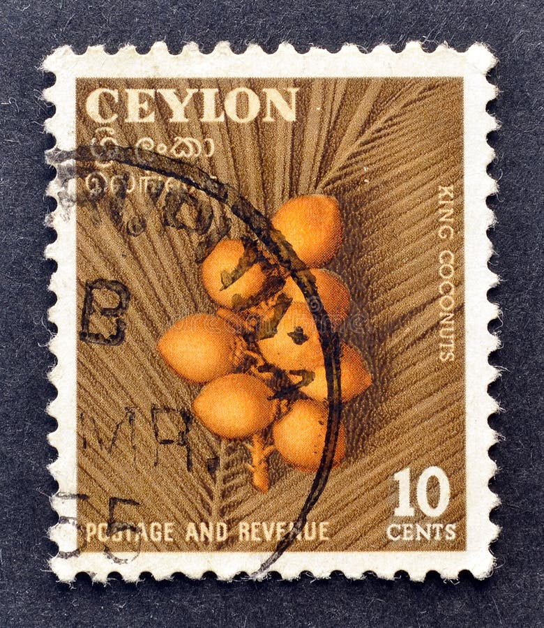 Cancelled Postage Stamp Printed by Ceylon, that Shows King Coconuts ...