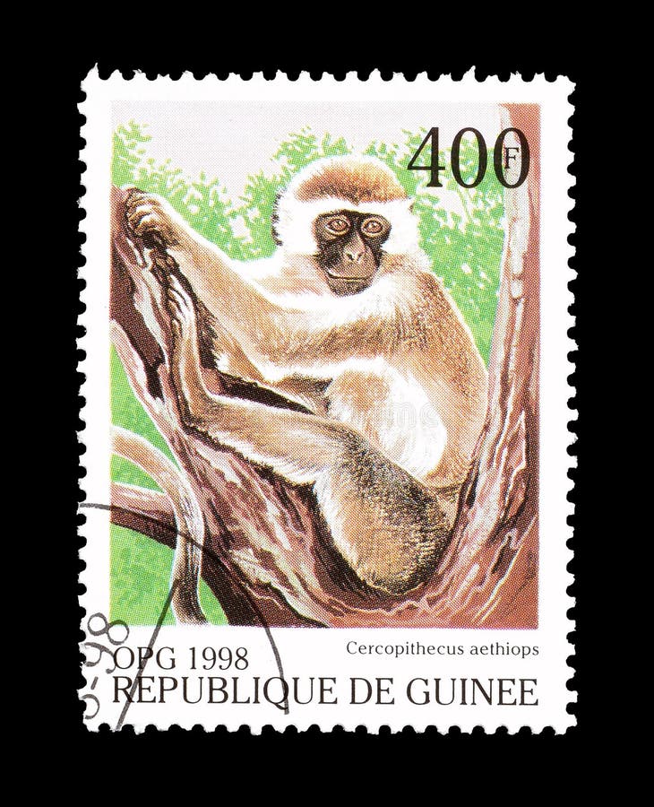 Green Monkey on Postage Stamp Editorial Photography - Image of ...