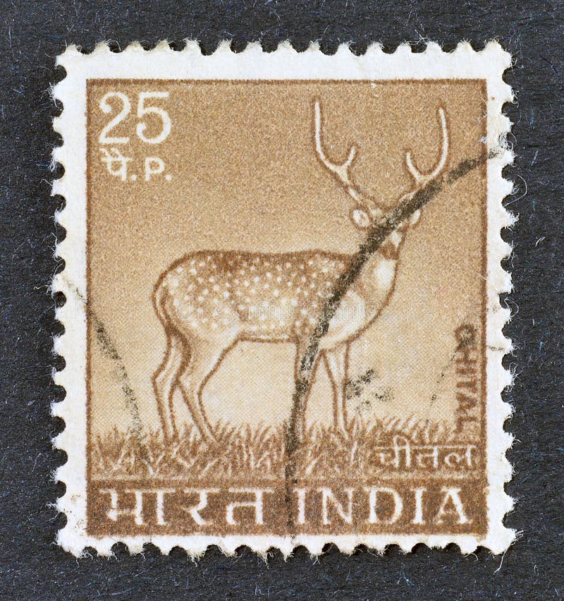 Cancelled Postage Stamp Printed by India, that Shows Chital (Axis Axis ...