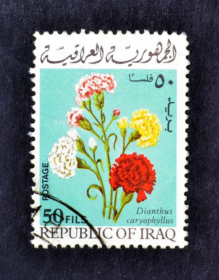 Cancelled Postage Stamp Printed by Iraq, that Shows Carnations ...