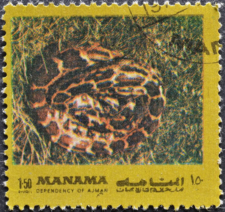 Cancelled Postage Stamp Printed by Manama, that Shows Python Editorial ...