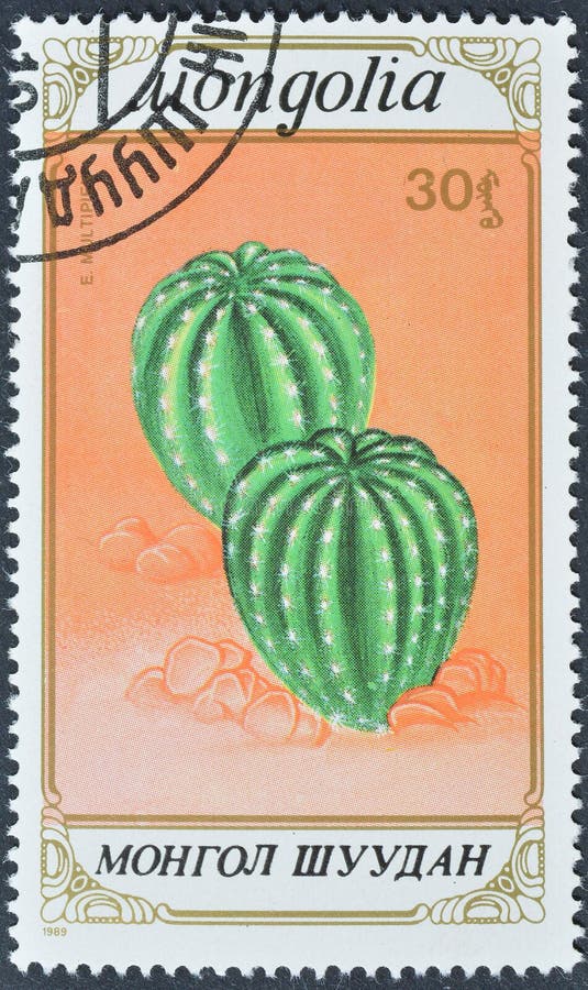 Multipex Cactus Stock Photos - Free & Royalty-Free Stock Photos from ...