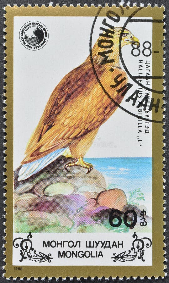 White-tailed Eagle (Haliaeetus Albicilla) Editorial Stock Image - Image ...