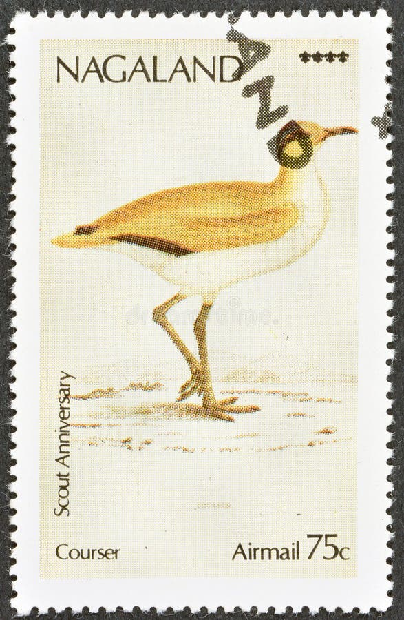 Cancelled Postage Stamp Printed by Nagaland, that Shows Courser ...